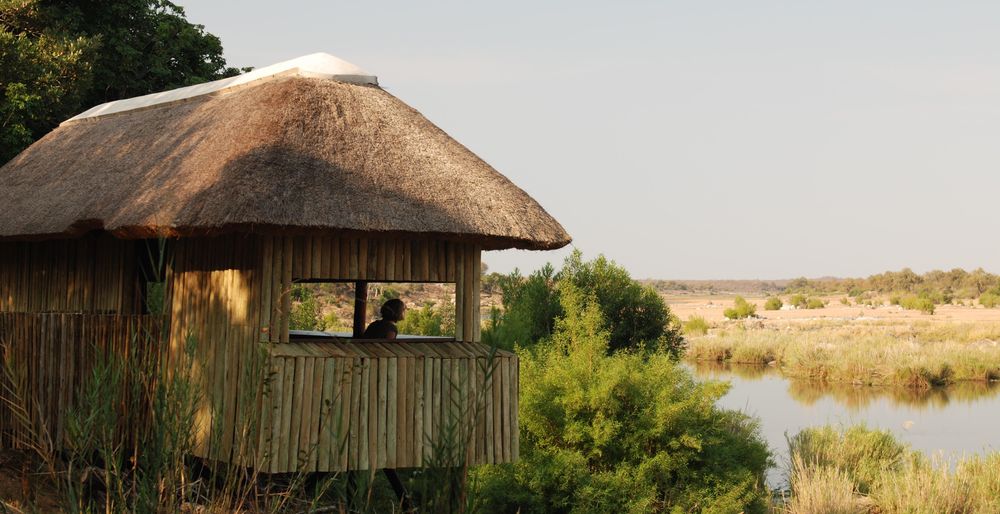 Experience South Africa’s wild side at Skukuza Safari Lodge and Buffalo ...