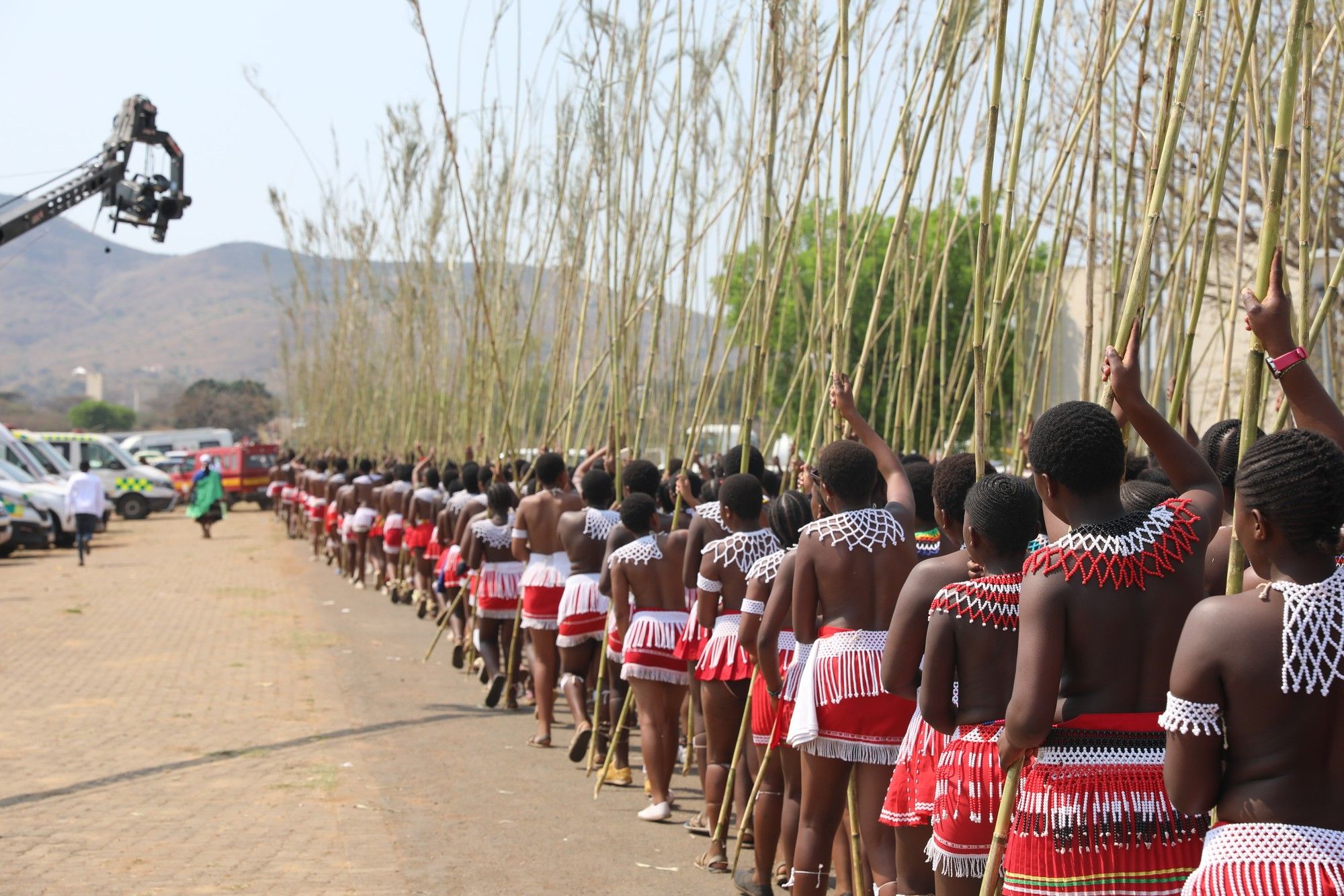Zulu Reed Dance can boost tourism and culture