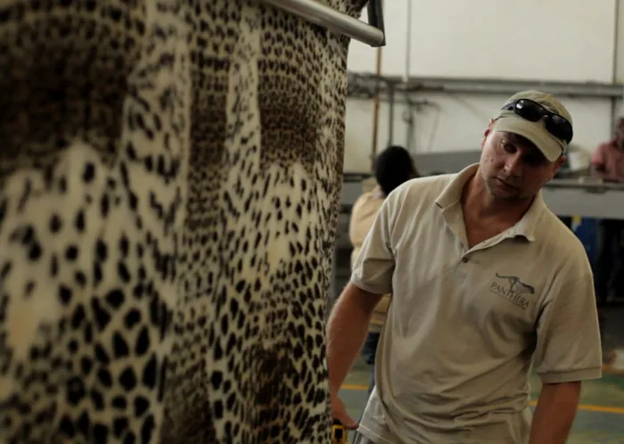 Fauxy plan for cat in spot of trouble