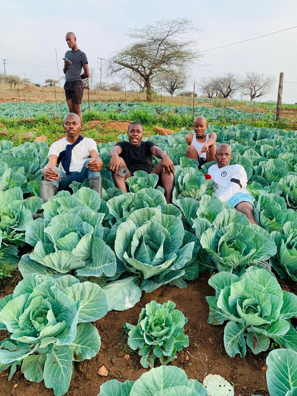 Youth farming dream wilts under community dispute