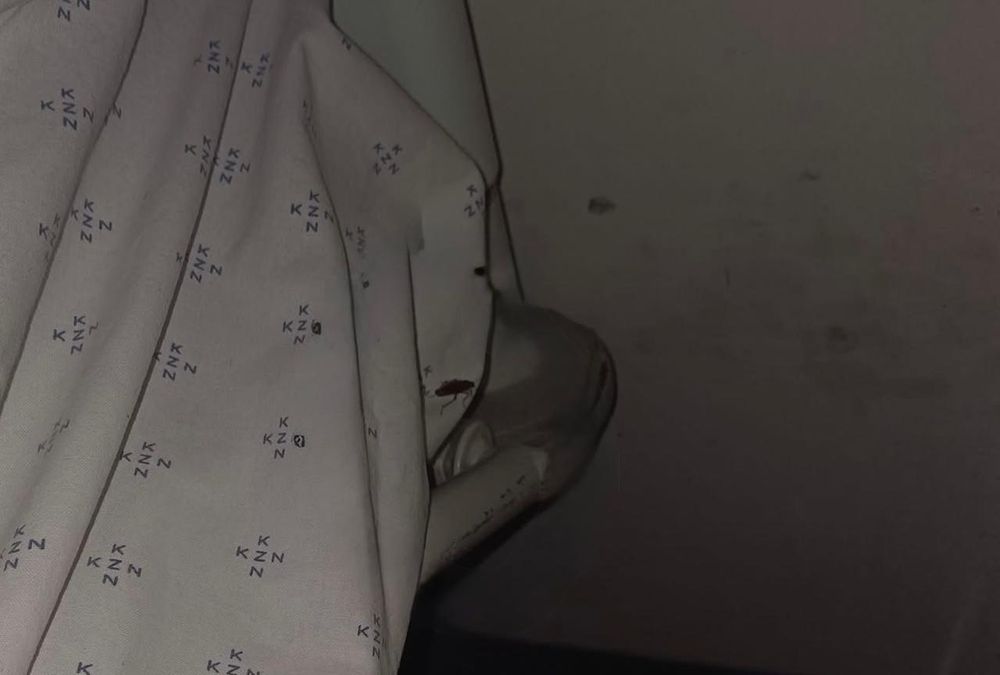 Cockroach infestation in Durban hospital: a call for urgent action