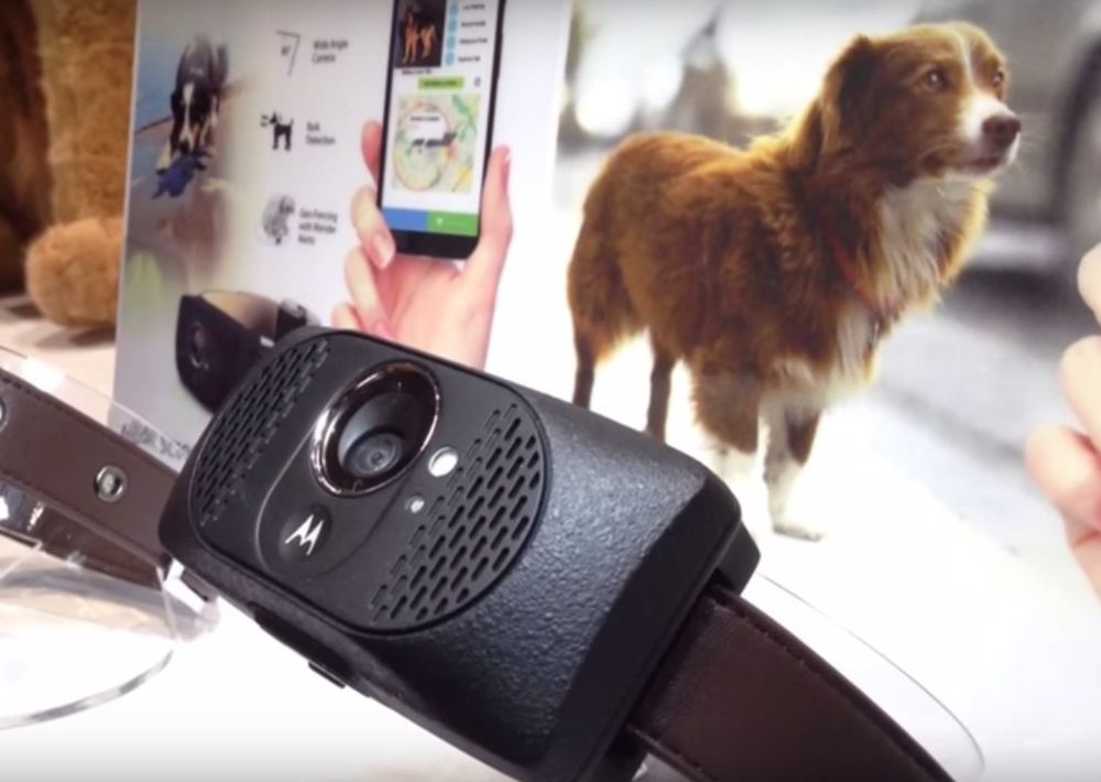 The best gadgets from the Electronics Fair