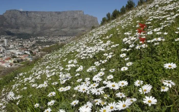 Signal Hill safe for visitors