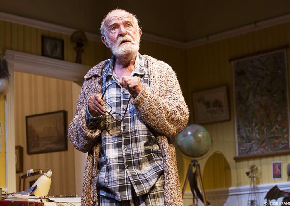 Fugard wins global arts prize