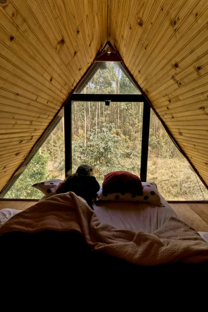 Why a deep forest escape is South Africa's best-kept winter travel secret