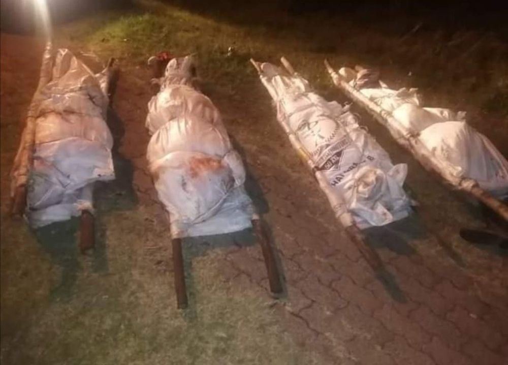 Five murdered men at North West mine: Crime expert says criminal gangs ...