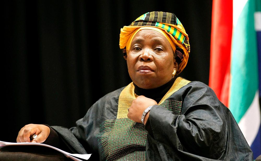 Dlamini Zuma: Whoever wins must lead and embrace everyone