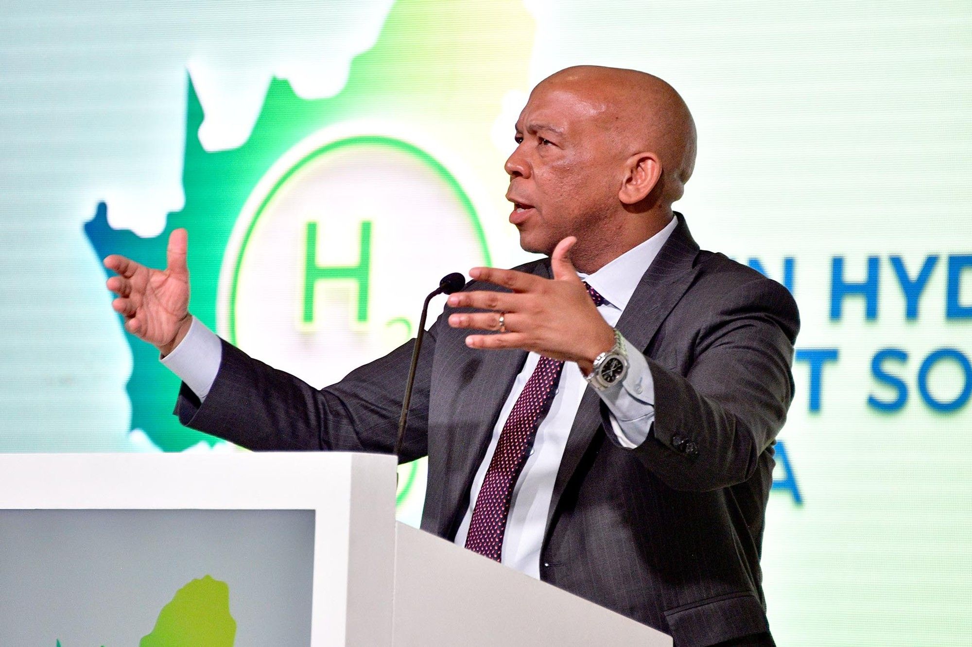 South Africa commits to a Green Hydrogen future, but environmental ...