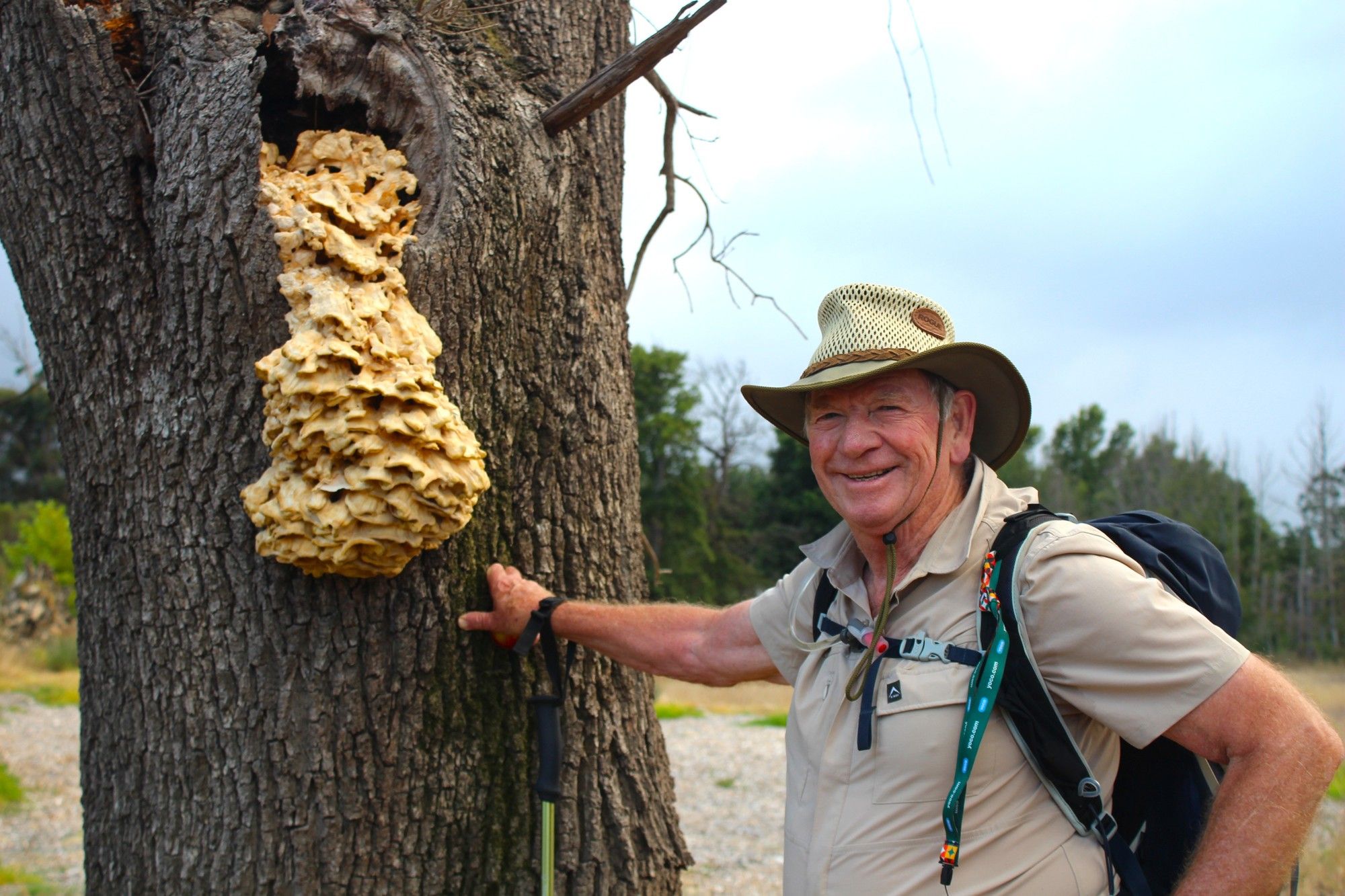 Flora, fauna and fine wine: Vergelegen launches guided hiking trail