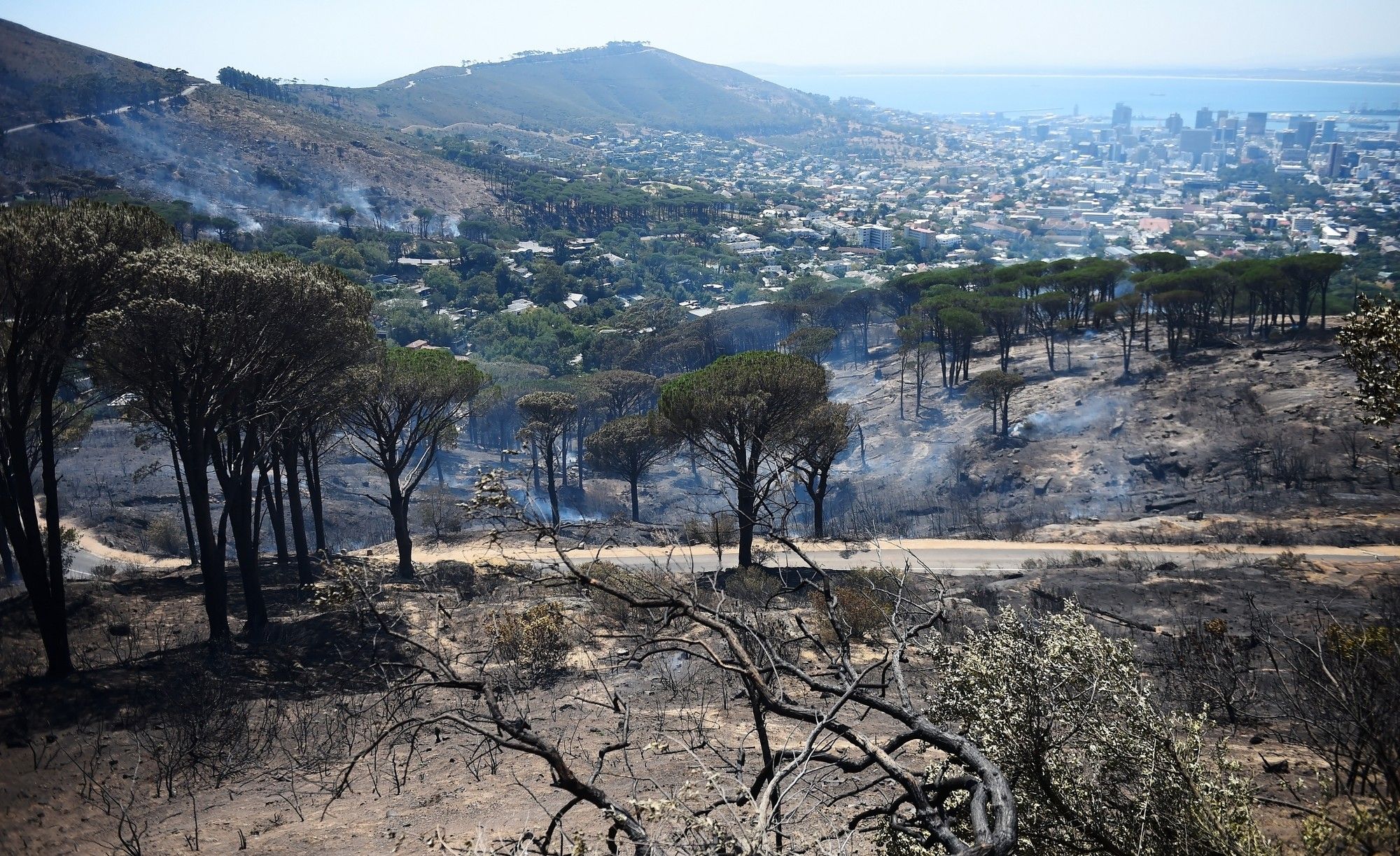SANParks on its way to net-zero greenhouse gas emissions and reducing ...