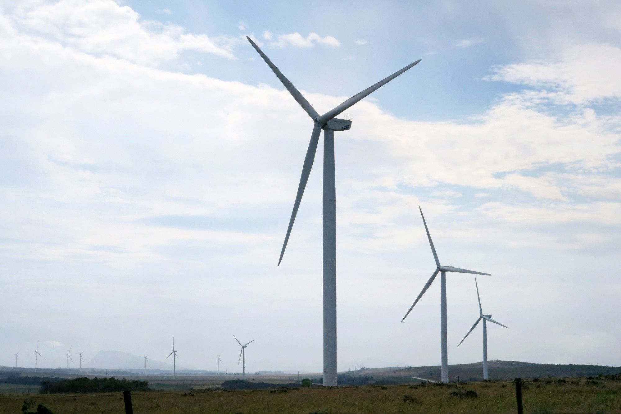Discovery Green’s renewables service on track as new insights sprout