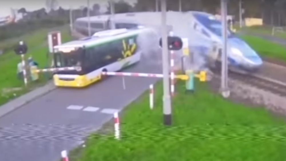 Is this bus driver the world's biggest idiot?