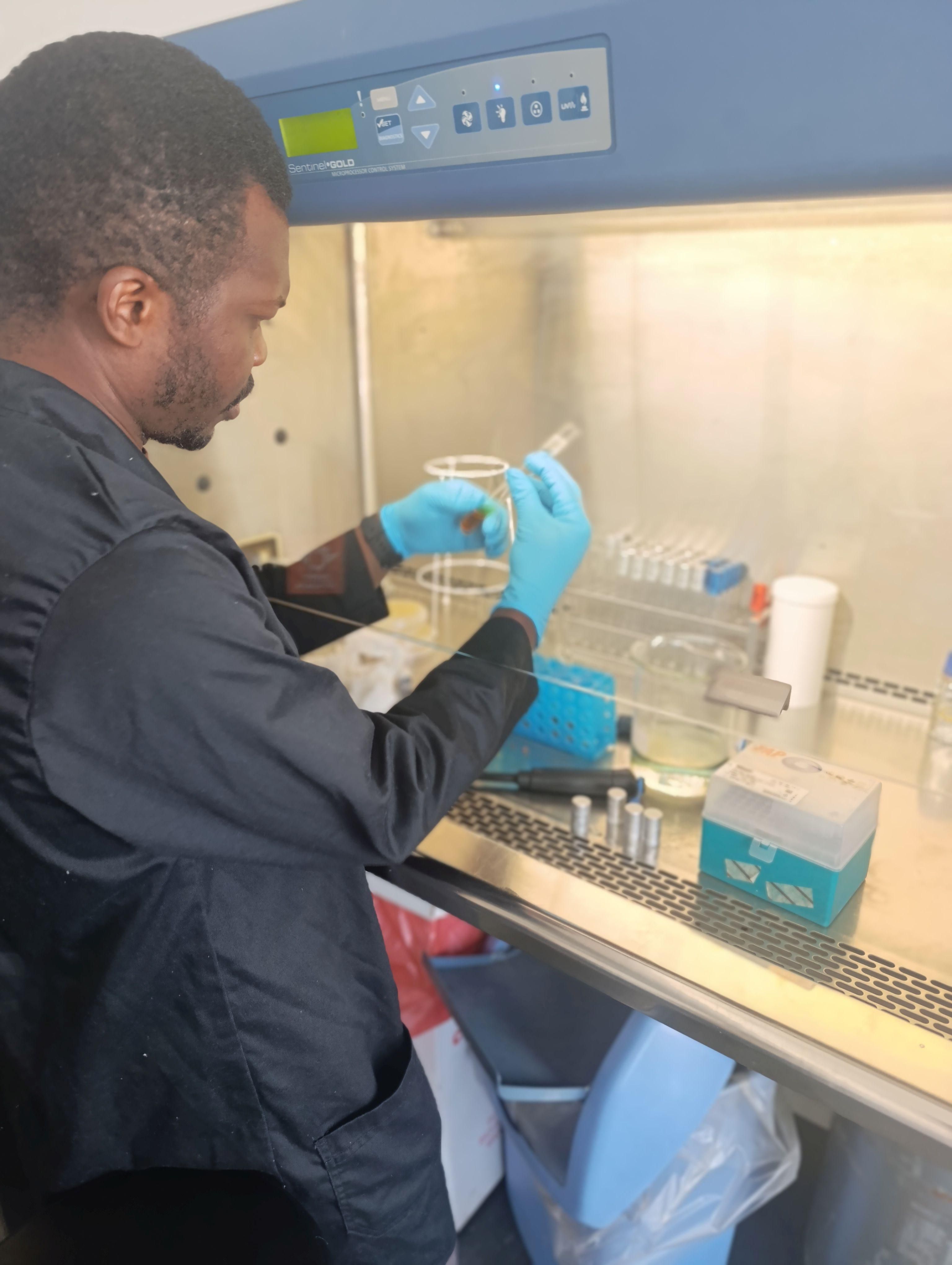 UJ Scientists discover potent anti-cancer compounds in common weed