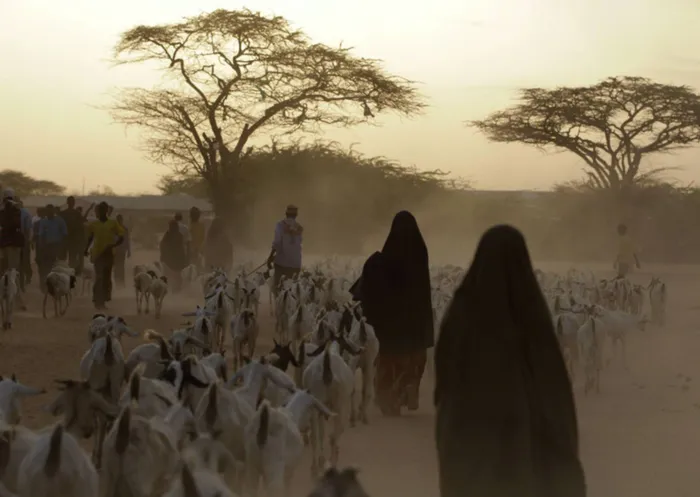 Aid worker kidnapped, driver killed in Kenya