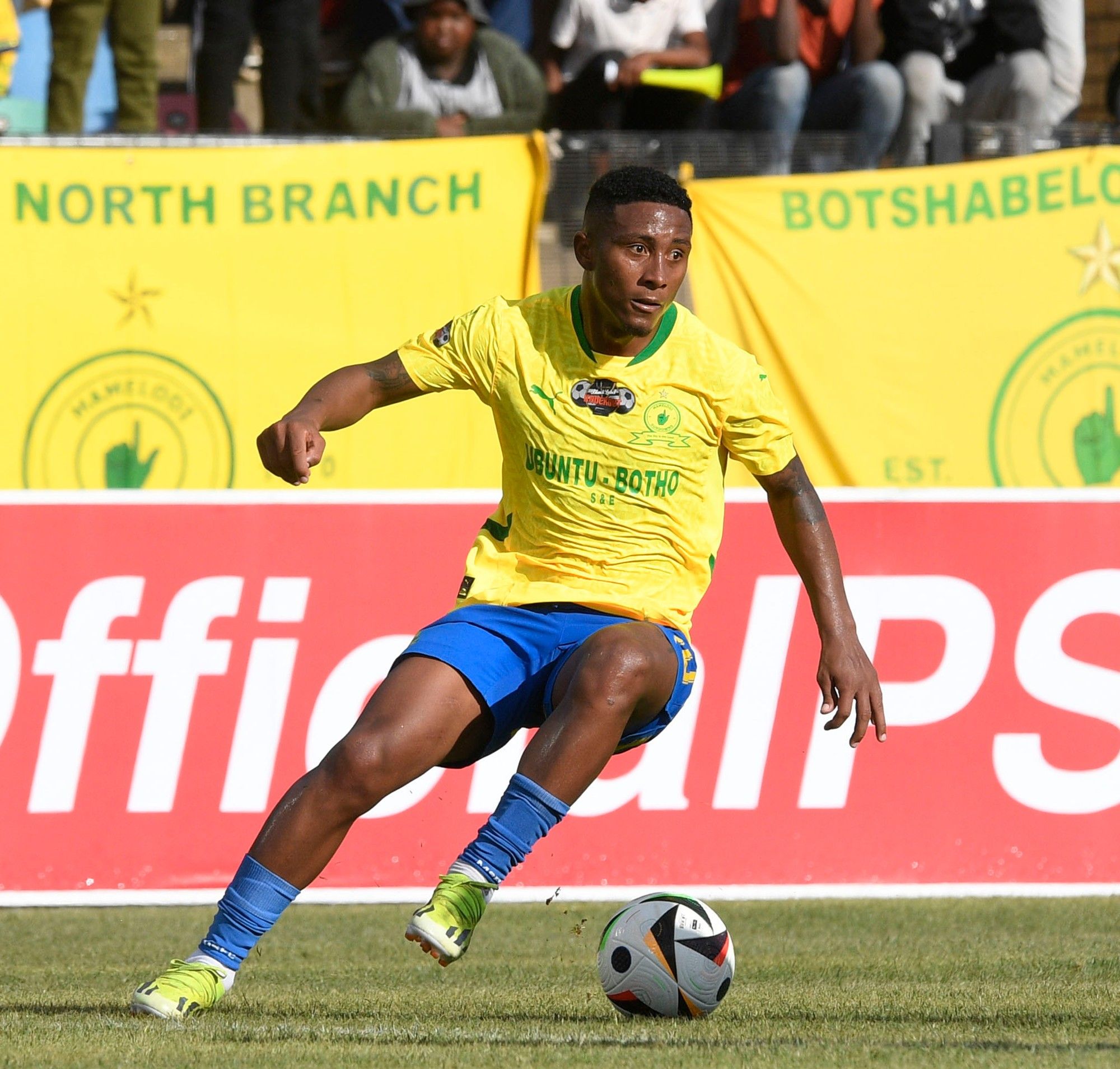 Spotlight shines on standout players ahead of final