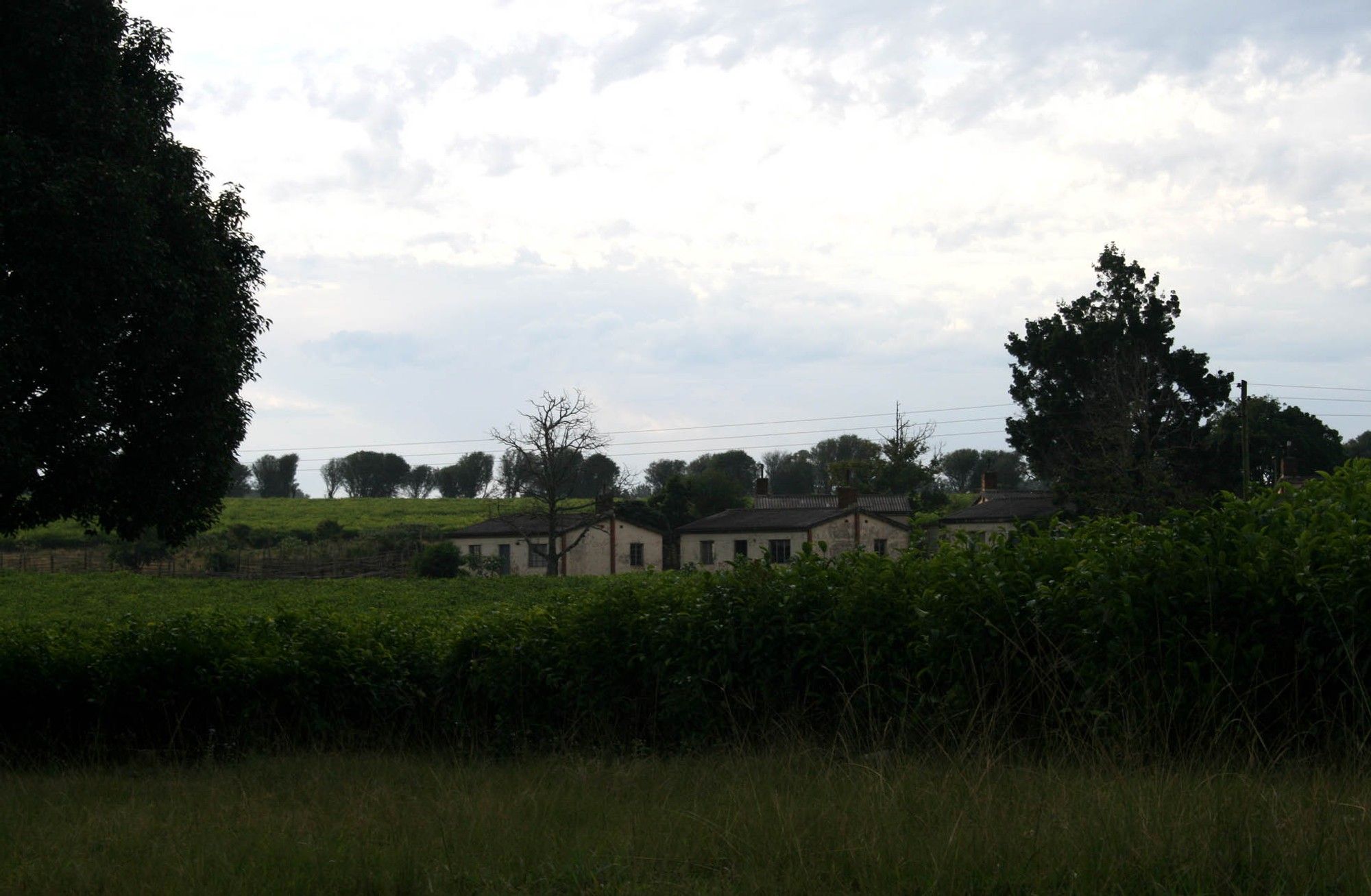 ActionSA pens open letter to Eastern Cape Premier Mabuyane regarding ...