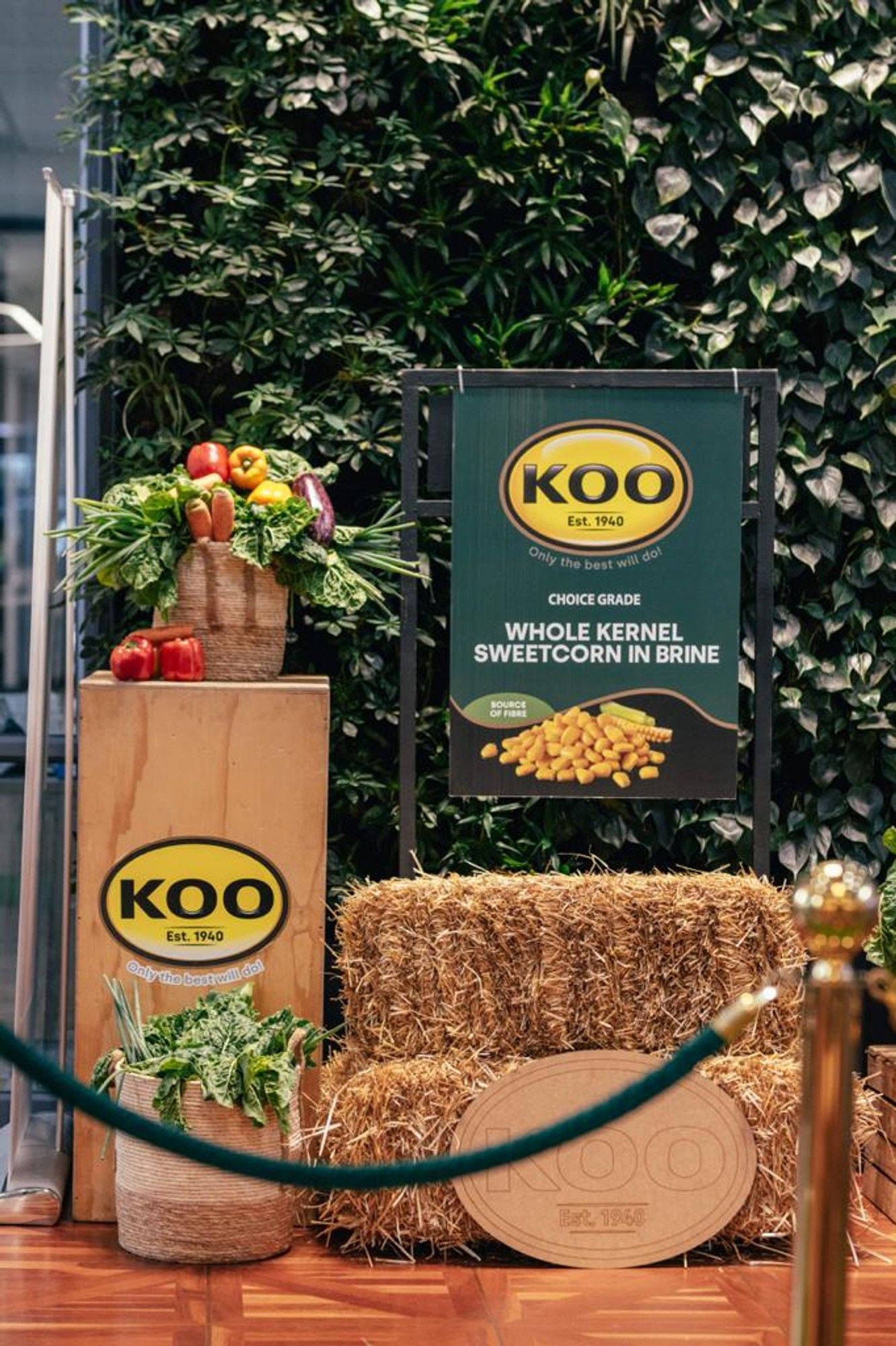 KOO Colour Plate Bursary awardees are shining examples of culinary ...