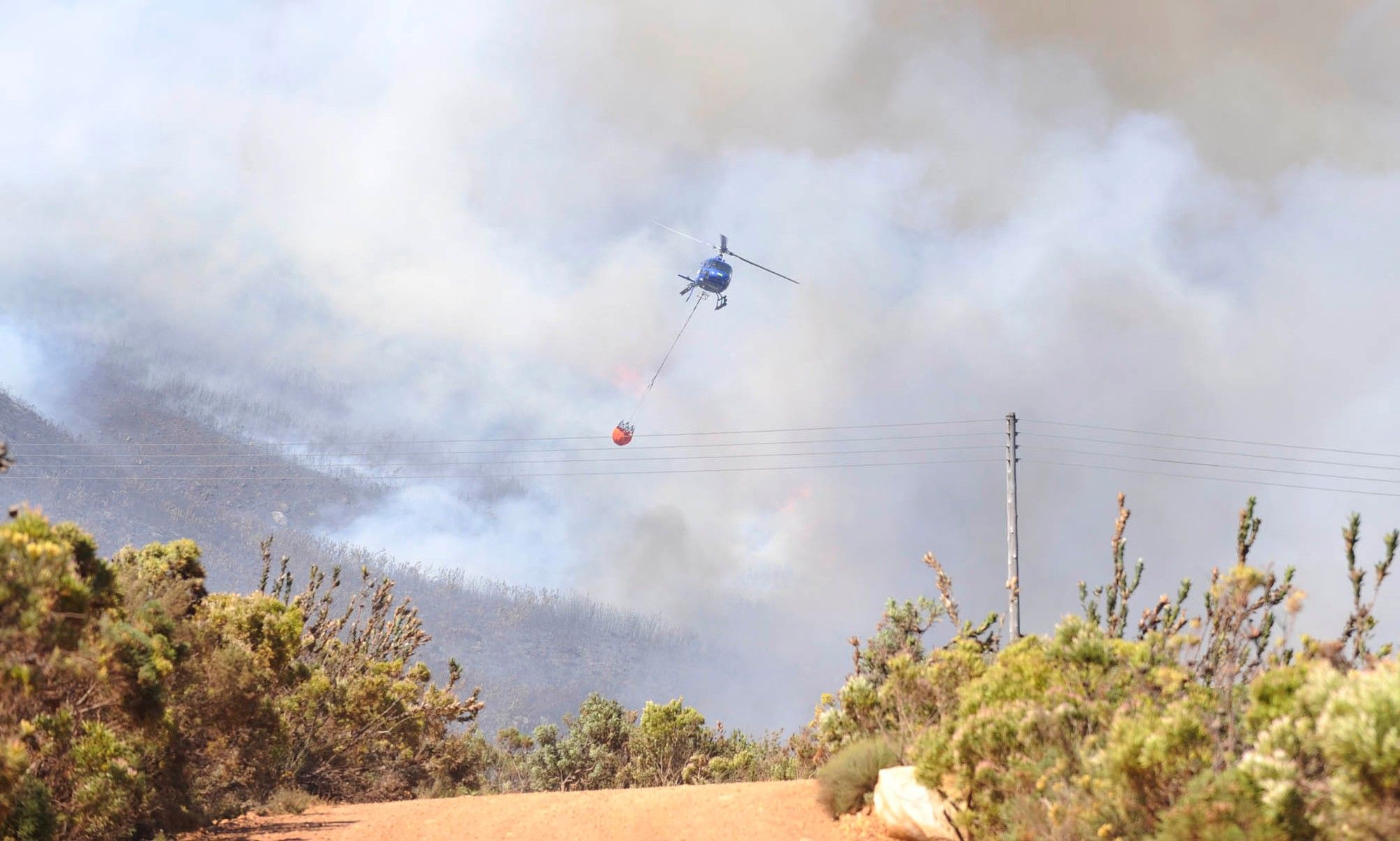 Kleinmond fire caused by trespassers’ campfire at government plantation