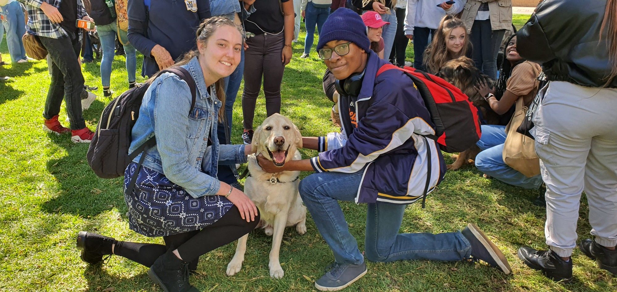 Four-legged friends at University of Pretoria to put smiles on faces of ...