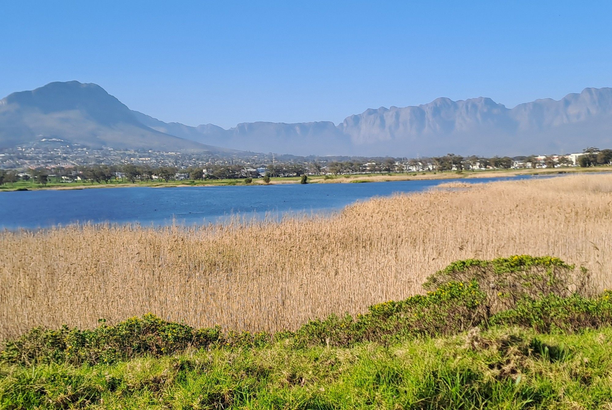 Call for local wetland to be zoned a conservation area