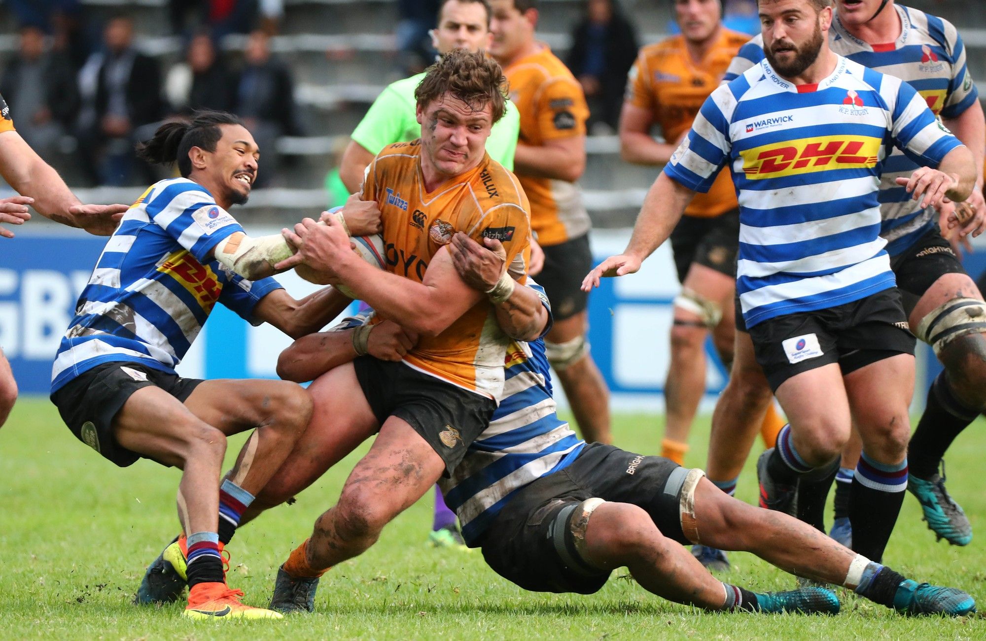 Who’s in line for their first Springbok Test cap?