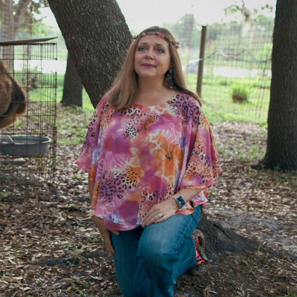 Carole Baskin says trolls screamed obscenities at her after release of ...