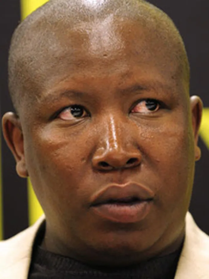 Military training for Malema 'bad move'