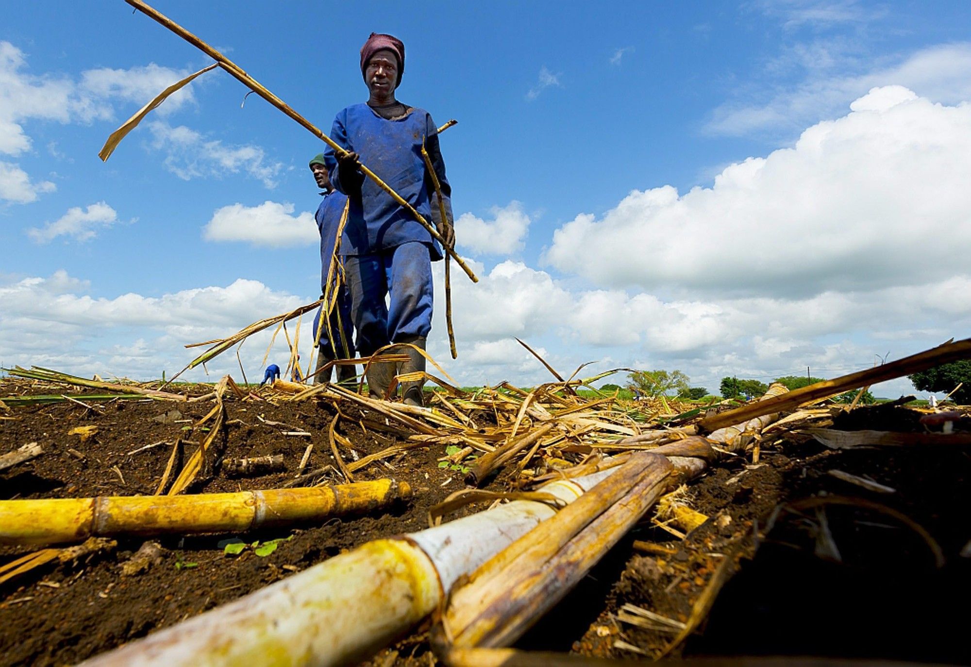 Tongaat-Hulett needs new funding options for a sustainable future