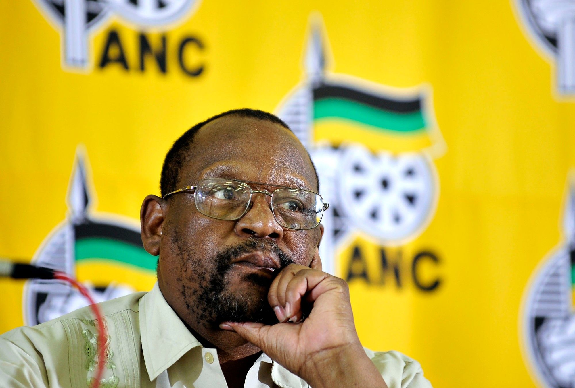 ANC leader says SA’s Constitution 'an obstacle to socio-economic ...