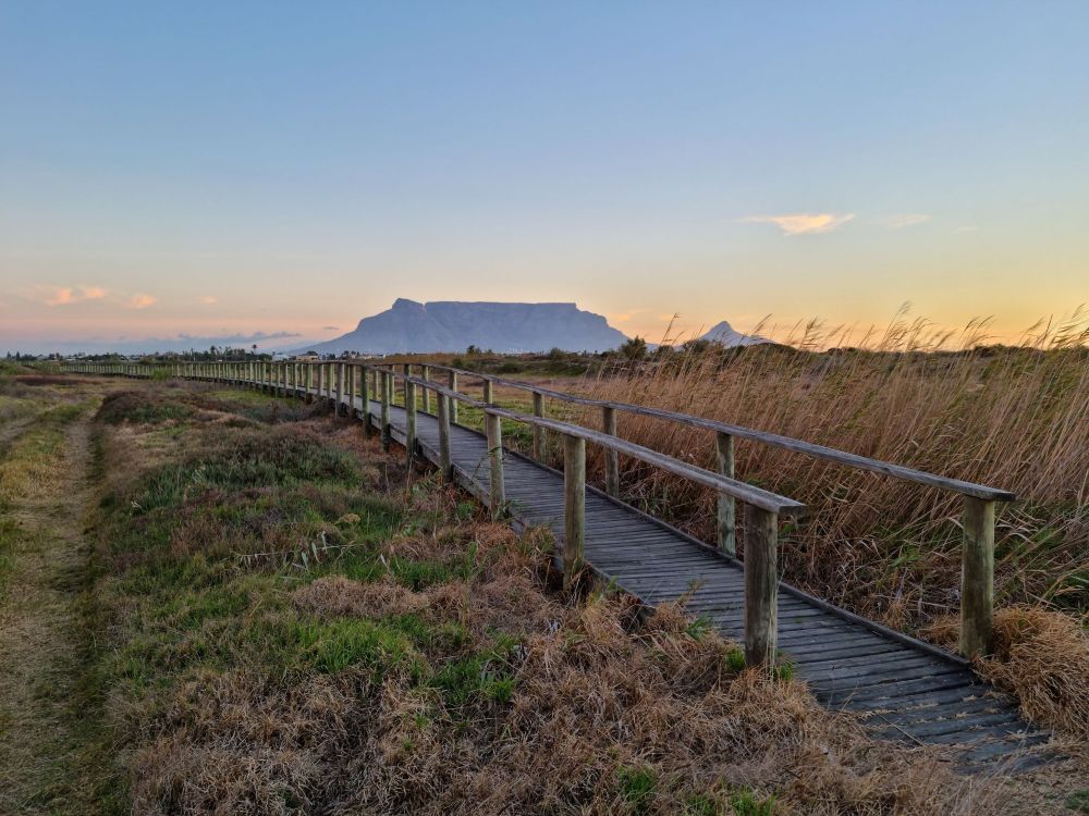 Rietvlei’s trails, picnic areas and Old Friend’s bird hide reopen