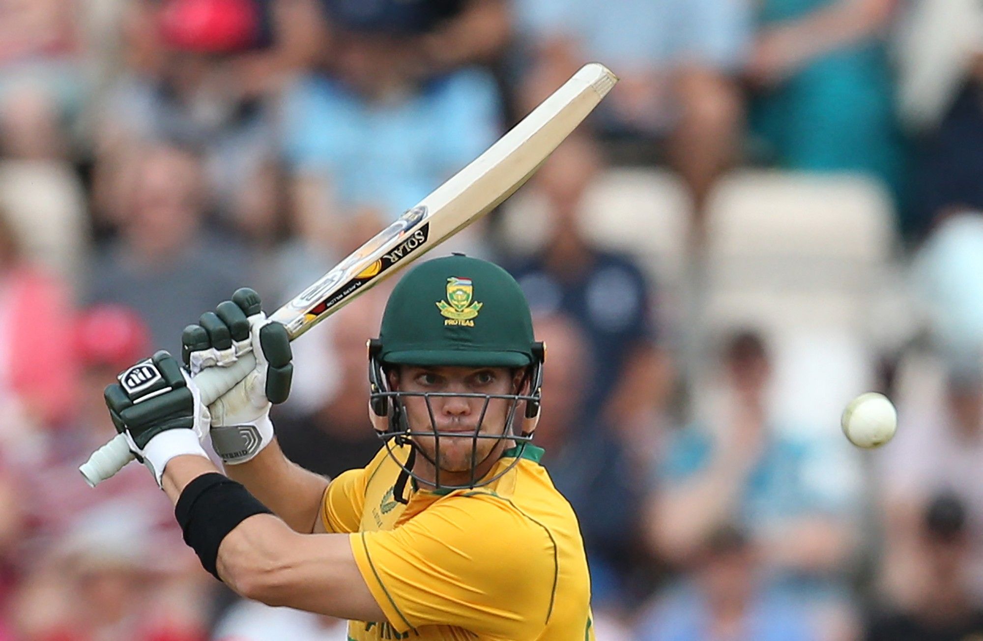Proteas proved their mettle in 2024, look for renewed success in 2025