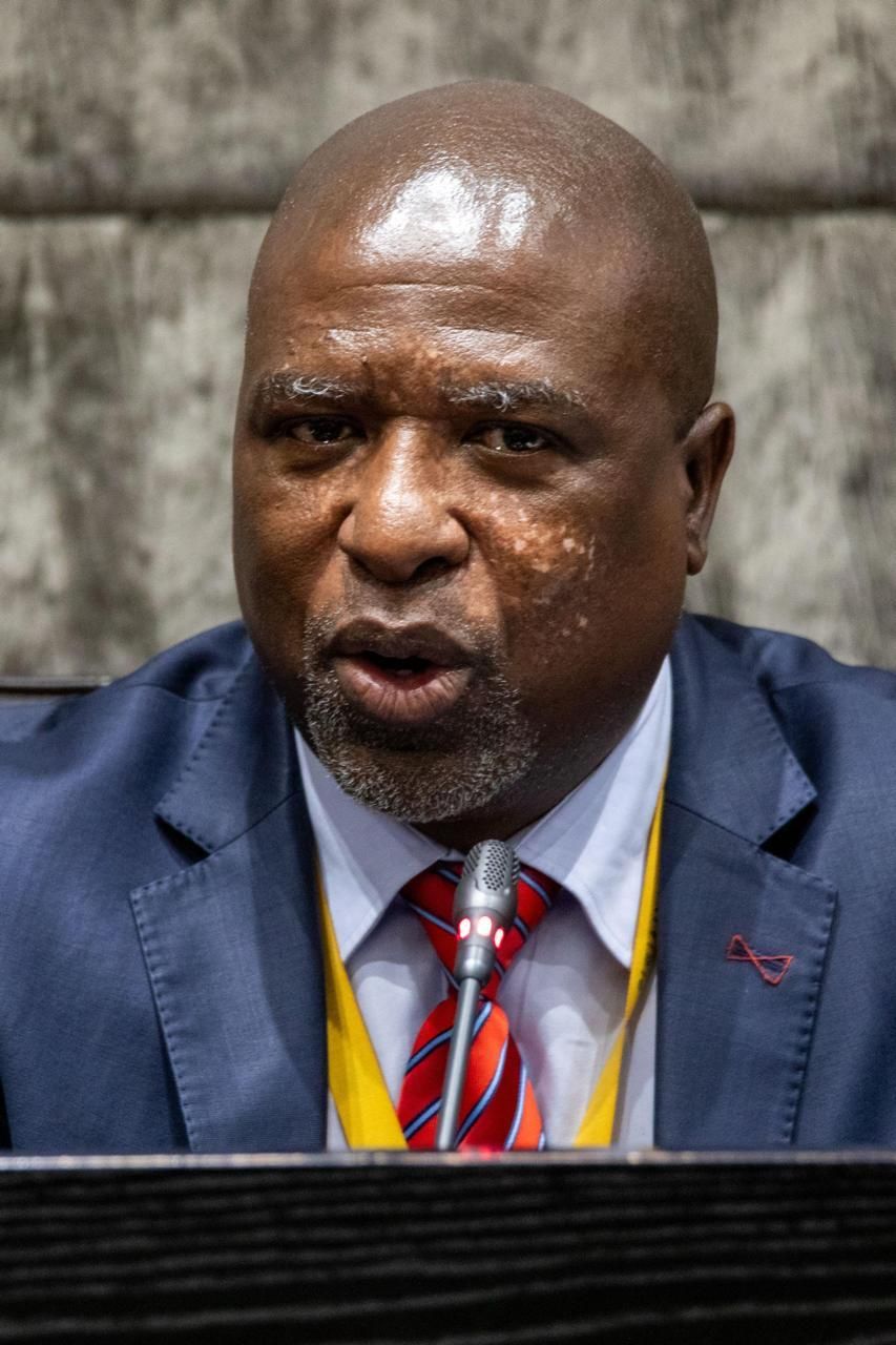 Witness list grows as Parliament's Ad Hoc Committee investigates Lt ...