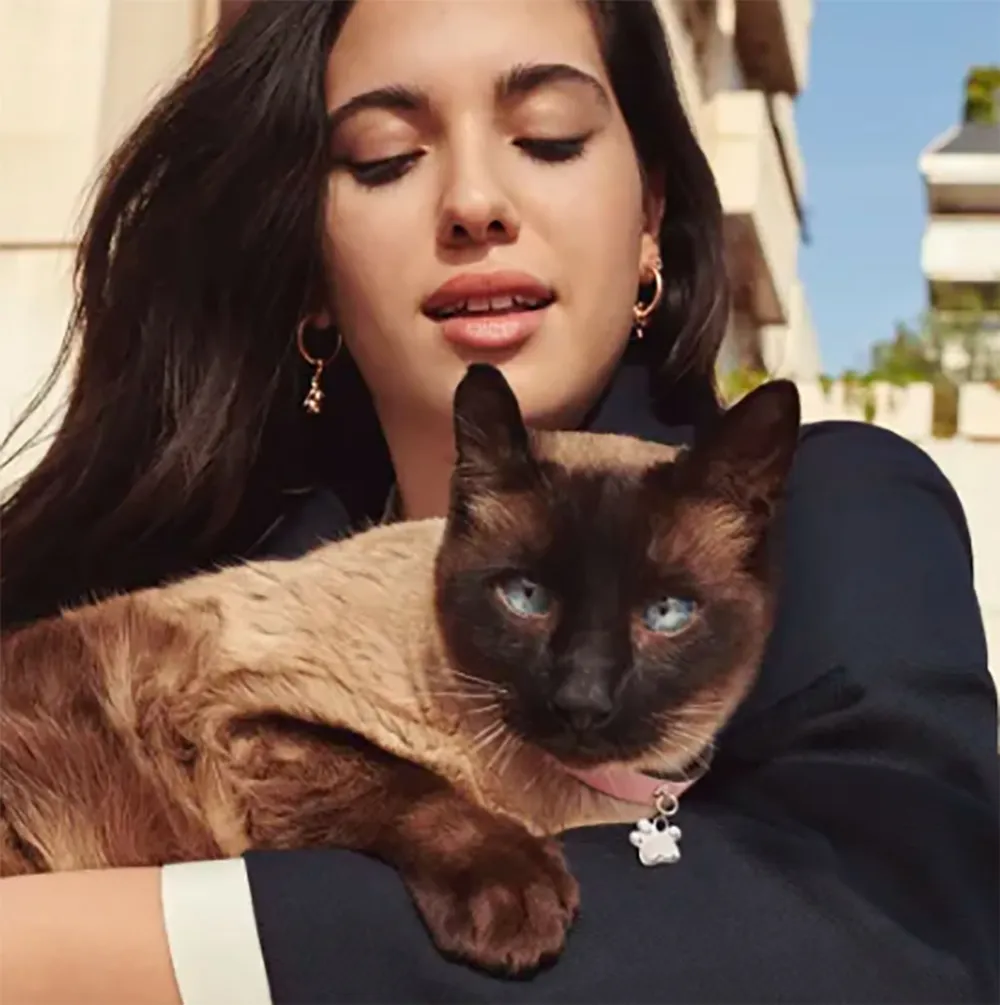 Pandora launches pet range so you can now fashionably co-ordinate with ...