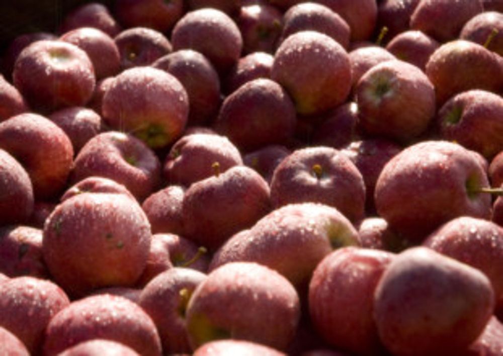 ‘Cider vinegar cured me of my arthritis’