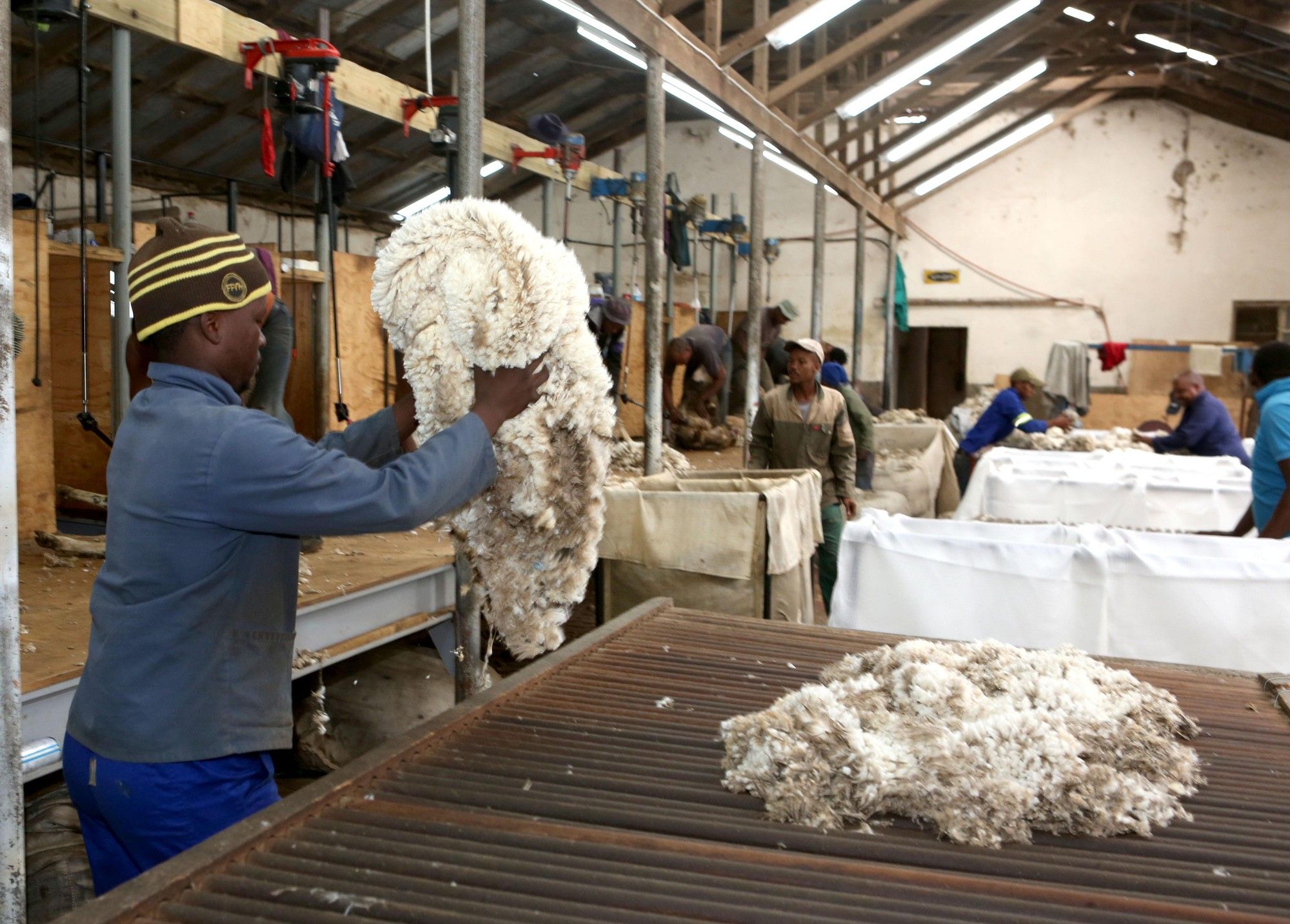 The production of quality wool