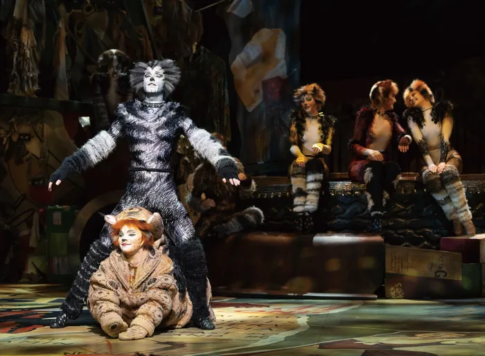 Stellar cast shines as CATS the musical continues into January 2026 at ...