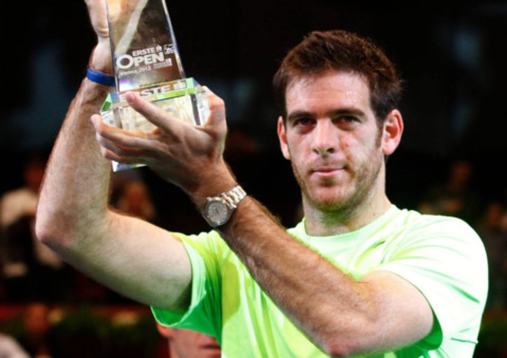 Del Potro wins Vienna title