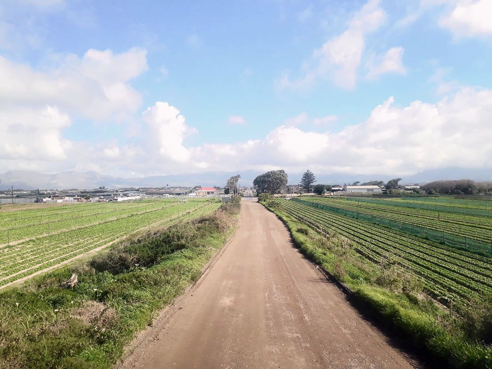 Cope, Afriforum unite to oppose land expropriation plan