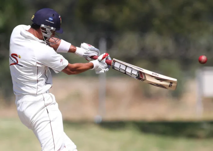 Lions duo pummel Cobras attack