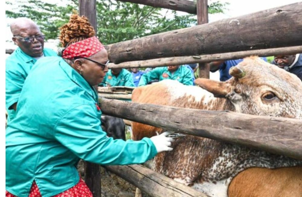 Ukubambisana emnyangweni nakubalimi ngokuvala amatele emapulazini