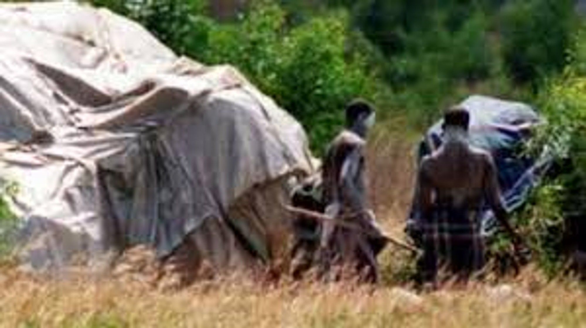 Kuza kwalukwa ngoDisemba!