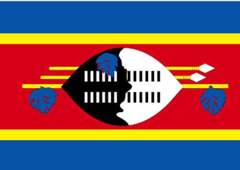 Swazi households hit by hunger: Unicef