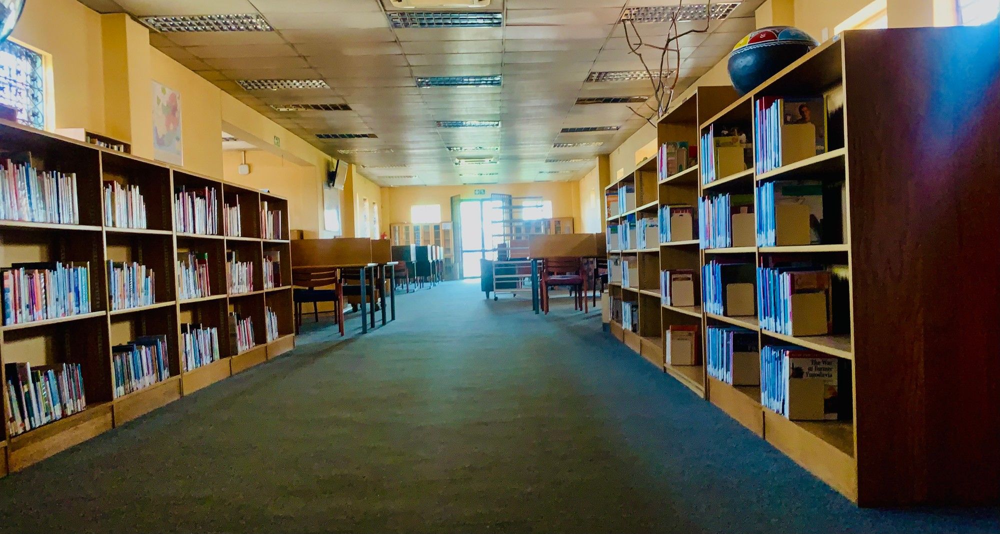 Is it our libraries or is it the culture?