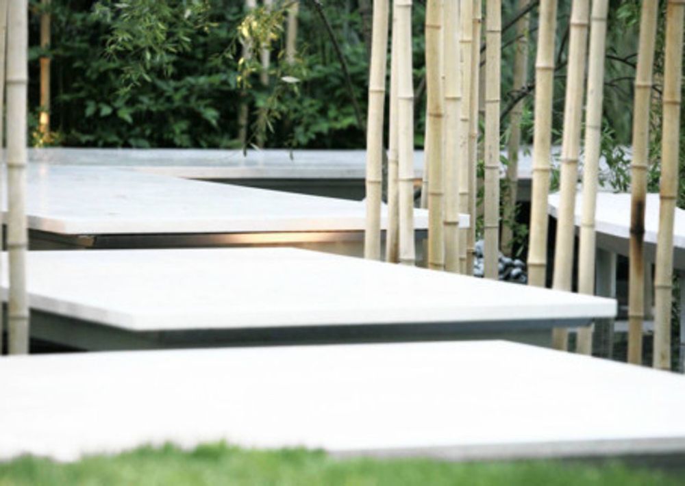 Branch out with new designs