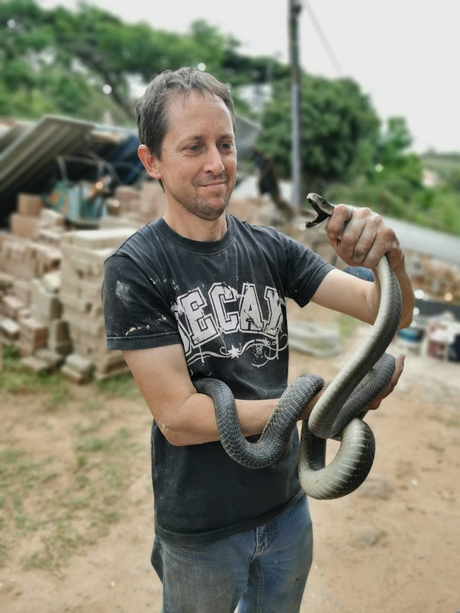 An embarrassing encounter: Durban snake catcher and 2m black mamba get ...