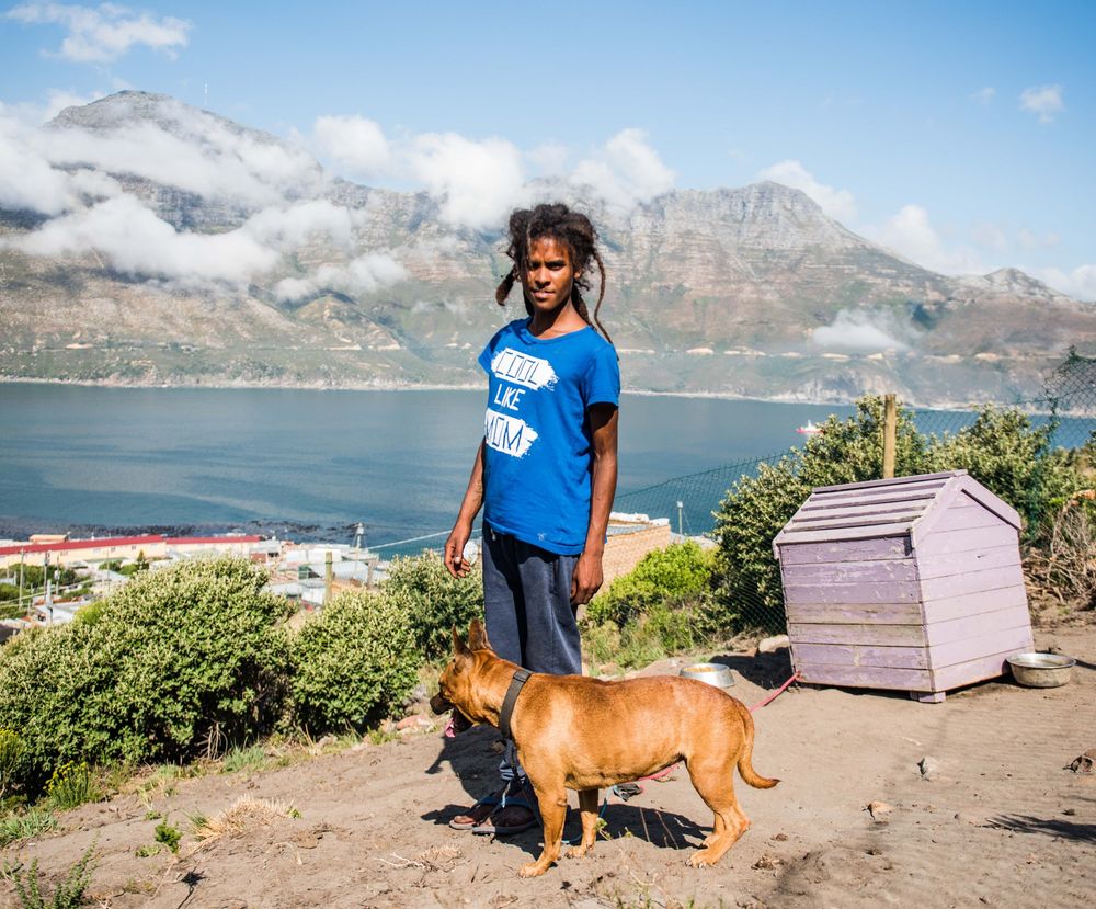 WATCH: Meet the man sheltering hundreds of strays, even when he had no home