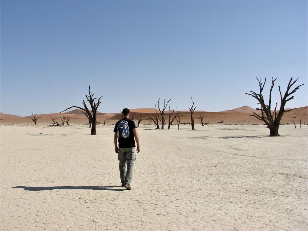 Under starry skies and golden dunes: Africa's must-visit desert ...