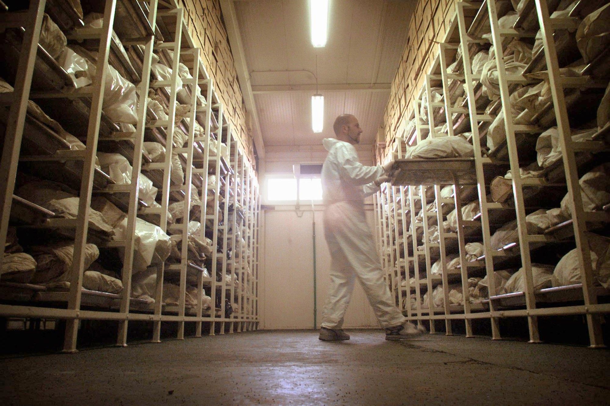 Unidentified bodies pile up at WC mortuaries amid scarce resources