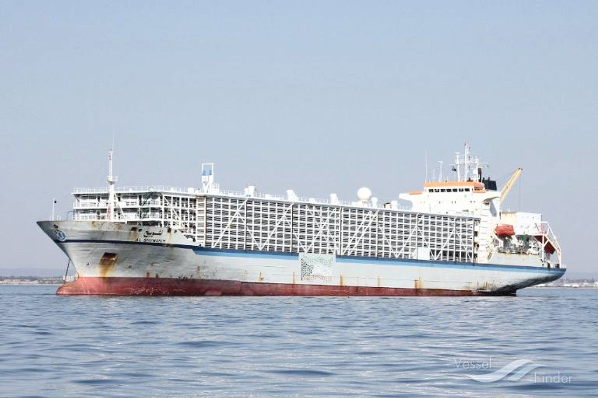 Alarm over conditions on livestock carrier