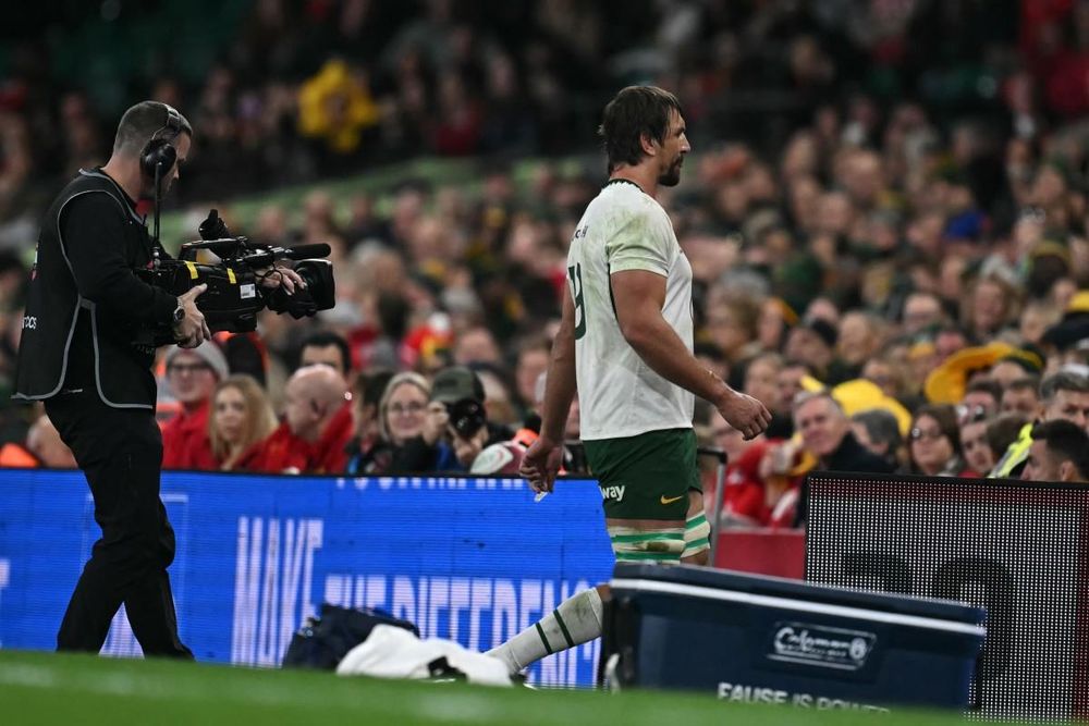 How South African supporters reacted to Eben Etzebeth eye gouge
